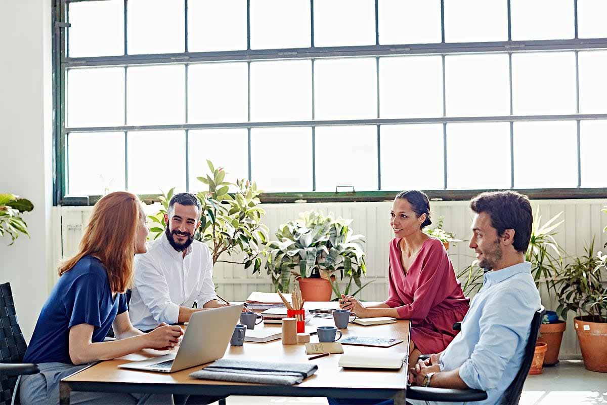 The importance of advisors for small businesses - BNZ